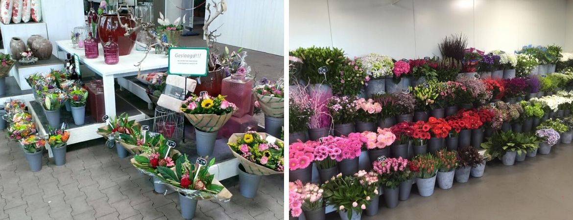 Bloemen bestellen - Tuincentrum GroenRijk in Rijswijk