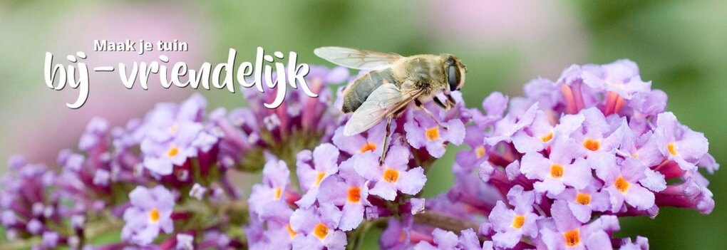 Tuincentrum te Rijswijk, bezoek GroenRijk!