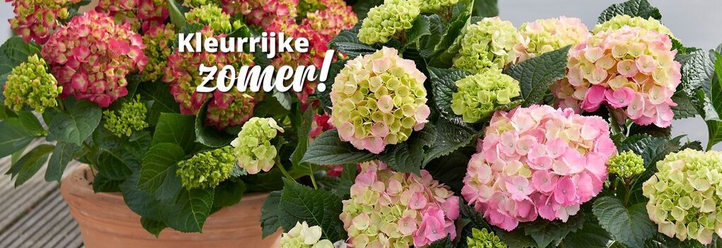 Tuincentrum te Rijswijk, bezoek GroenRijk!