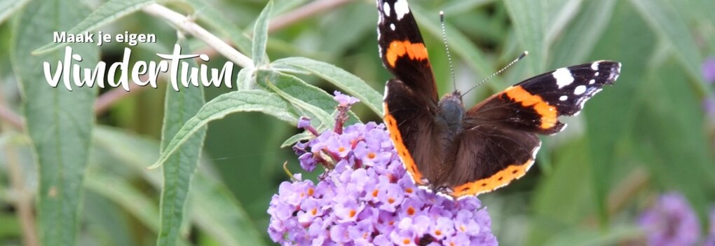 Tuincentrum te Rijswijk, bezoek GroenRijk!