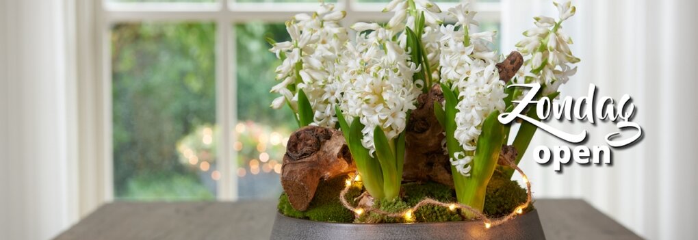 Tuincentrum te Rijswijk, bezoek GroenRijk!