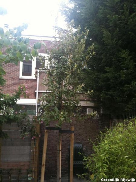 Tuincentrum te Rijswijk, bezoek GroenRijk!